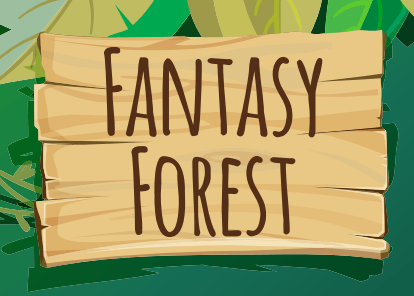Sunday 11th August 2024 | Fantasy Forest Soft Play – Roses Country Fayre